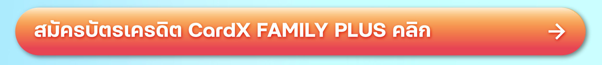 ข้อกำหนดและเงื่อนไข