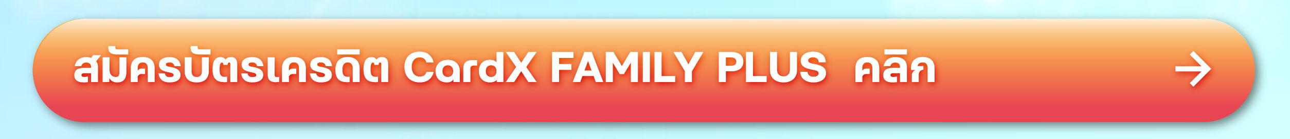 ข้อกำหนดและเงื่อนไข